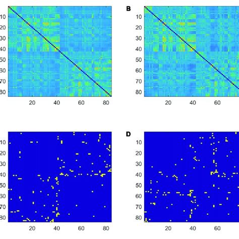 Weighted And Sparse Mst Adjacency Matrices For The Two Groups Aws