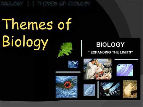 Ppt Biology 11 Themes Of Biology Powerpoint Presentation Free