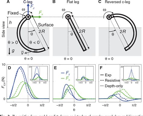 Figure 3 From A Terradynamics Of Legged Locomotion On Granular Media Semantic Scholar