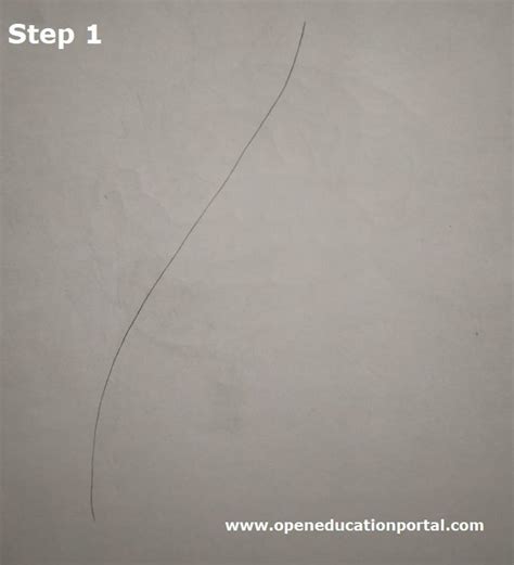 How To Draw A Peacock Feather Easy Step Wise Guide