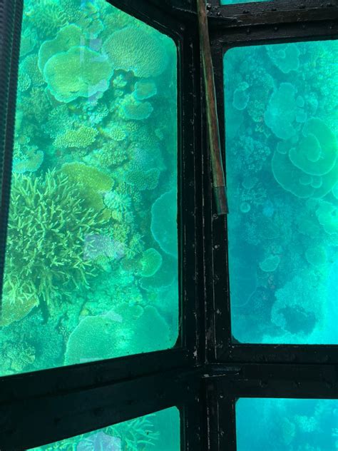 줌줌 후기 오즈투어 케언즈 낭만이 가득 그레이트 베리어 리프 리프매직 크루즈영어 정지