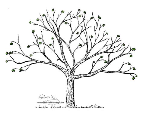 Tree Drawing Without Leaves At GetDrawings Free Download