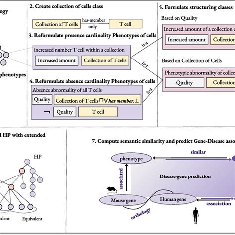 this figure presents examples of a potentially incorrect inference