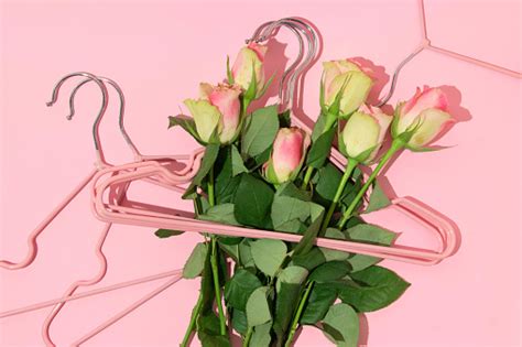 파스텔 핑크 배경에 분홍색 장미와 옷걸이가 있는 봄의 창의적인 낭만적인 레이아웃 80년대 또는 90년대 복고풍 패션 미적 사랑 개념 최소한의 발렌타인 데이 화장품 아이디어
