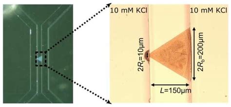 Scientists Build The First Brain Like Artificial Synapse Extremetech