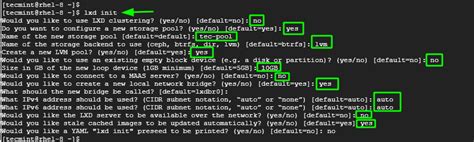 Install LXC Linux Containers In RHEL Rocky AlmaLinux