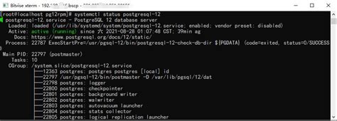 Centos7 如何离线安装postgresql数据库 阿里云开发者社区