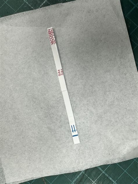 Test Paper Object Detection Model By Work