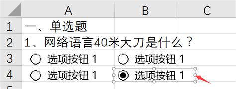 Excel电子试卷设置技巧，单选多选随意设置，简单易学萌萌哒 正数办公