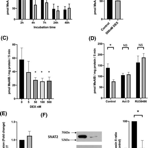 Effect Of Dexamethasone Dex On Snat2 System A Transporter Activity
