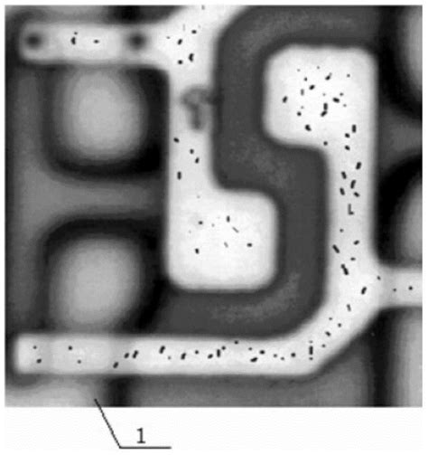 Detection Method For Chip Defect Eureka Patsnap