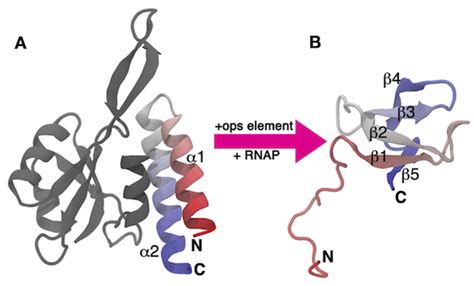 Plumed Masterclass 214 Metadynamics Plumed Tutorials By Plumed