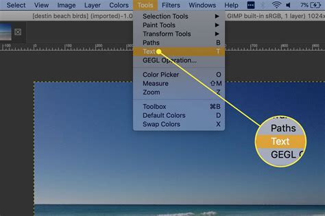 How To Apply A Text Watermark To Photos In GIMP