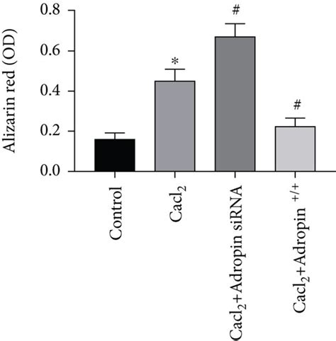 Adropin Inhibits Vsmc Calcification In Vitro A The Calcification Of