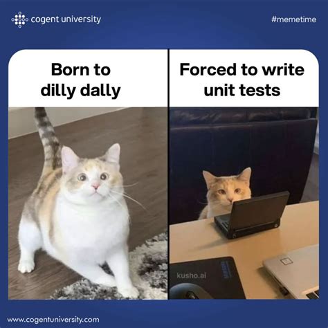 Programmerhumor Programmer Programmerlife Programming Programmingmemes Coding