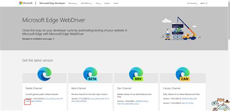 Java自动登录 Selenium 自动登录并获取cookie
