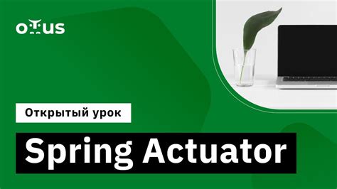 Spring Actuator Демо занятие курса Разработчик на Spring Framework