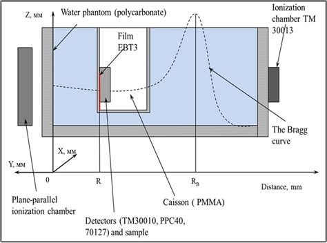 Scheme Of Dosimetric Devices And Objects Locations Under Irradiation