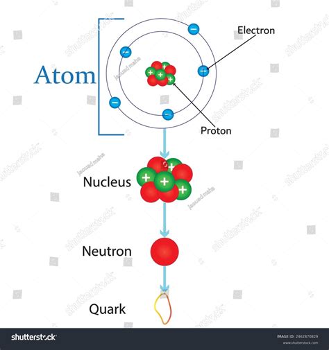 String Theory Diagram Schematic Atom Quark Stock Vector Royalty Free 2462870829 Shutterstock