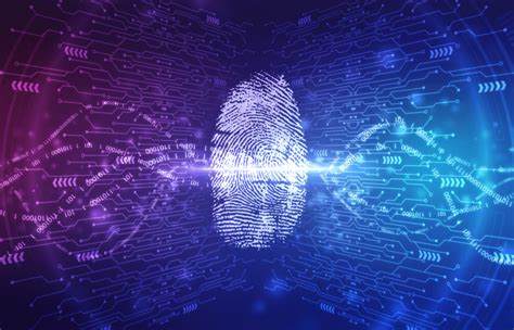 Vulnerability Management Policy Template Free Esecurity Planet