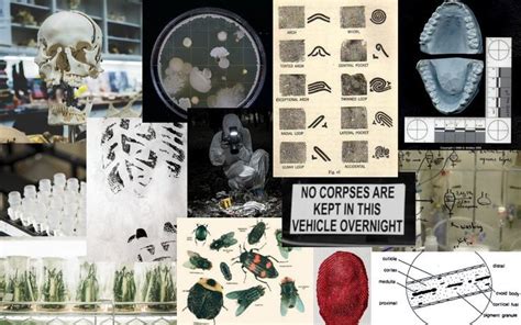 forensic science wallpaper in 2024 forensics cute wallpapers iphone