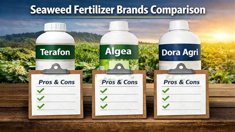 Top 10 Seaweed Fertilizer Brands Pros Cons And Rankings