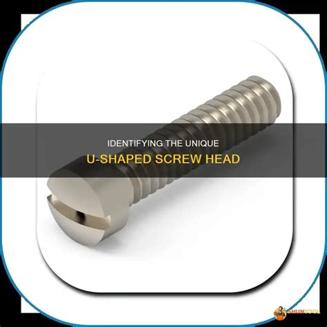 Identifying The Unique U Shaped Screw Head Shuntool