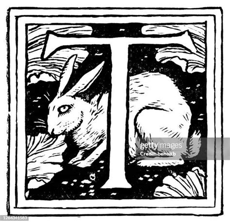 Illuminated Manuscript Letter T Photos And Premium High Res Pictures Getty Images