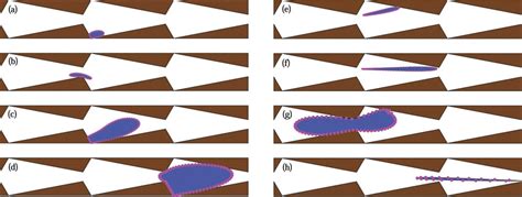 Typical Snapshots Of The Transport Process Of Deformable Particle For Download Scientific