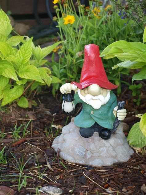 Gnome In Garden Free Image Download