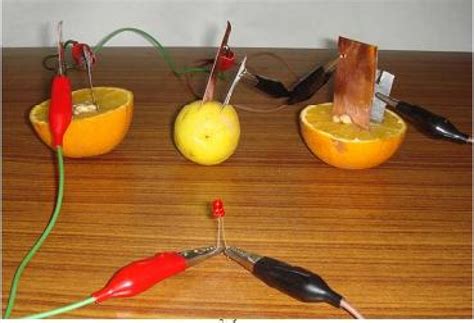 How To Make Fruit Cell