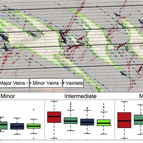 Models Of Sigmoidal Vein Formation A The Kinematic Model Of Beach