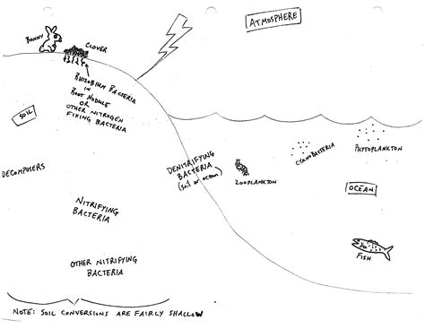 Lovescience Nitrogen Cycle Diagram