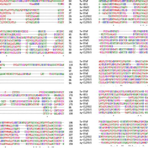 Regulation Of Protein Expression With Vectors Utilizing The T7