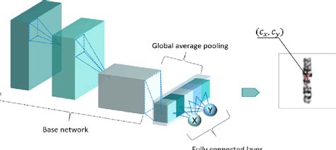 Figure 5 From Prediction Of Centromere Location In Human Chromosome Using Convolutional Neural