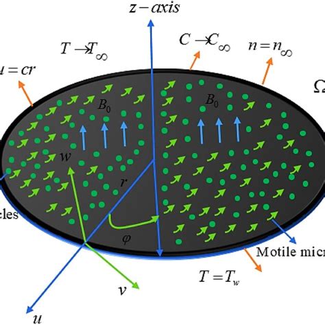 Comparison Of The Present Work With The Hayat Et Al ⁵¹ Download Scientific Diagram