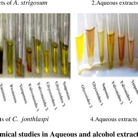 Phytochemical Test Of Species In The Aqueous And Alcoholic Extracts