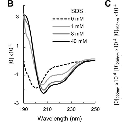 Recombinant Production A And Structural Characterization B And C Of Download Scientific
