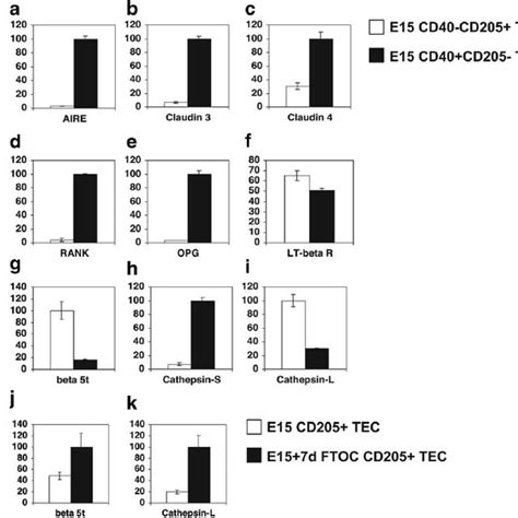 A Model Of CTEC Development This Figure Summarizes Data Shown In The Download Scientific