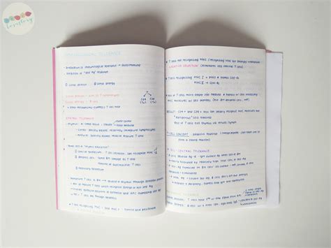 Paper Lovestory A Lifestyle Blog From A University Babe About Stationery And Organisation