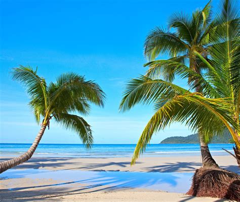 Places To Visit Where It S Summer Right Now Reader S Digest