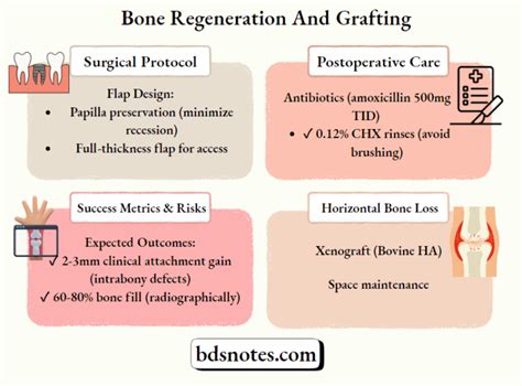 Bone Regeneration And Grafting Bds Notes