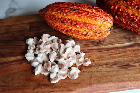 How To Make Chocolate From Cacao Beans Chocolate From Scratch