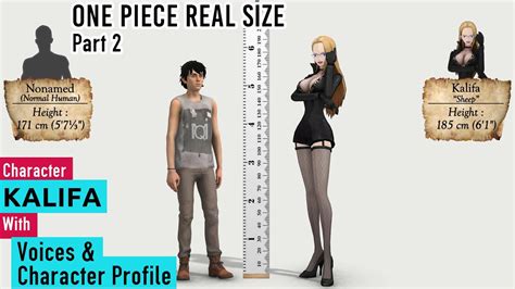 KALIFA ONE PIECE SIZE COMPARISON CP9 Part 2 YouTube