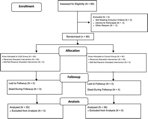This Is A Flow Diagram Illustrating Patients Enrollment Allocation