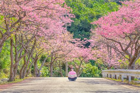 冲绳三日游怎么玩，冲绳三日游去哪里，冲绳三日游攻略