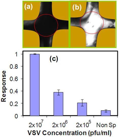 Applications Of Liquid Crystals In Chemical And Biological Detection