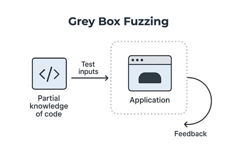 Fuzz Testing Explained Benefits Techniques And Best Practices