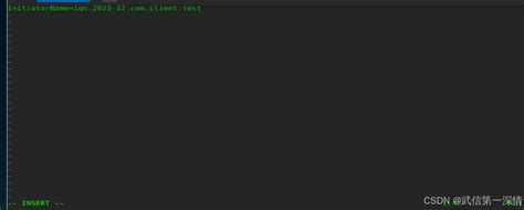 Iscsi（磁盘共享）iscsi配置方法 Csdn博客