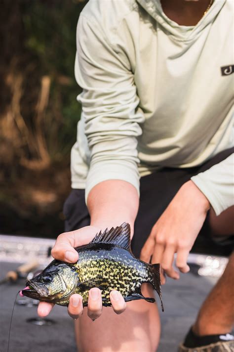 White Crappie Vs Black Crappie Whats The Difference Realtree Camo